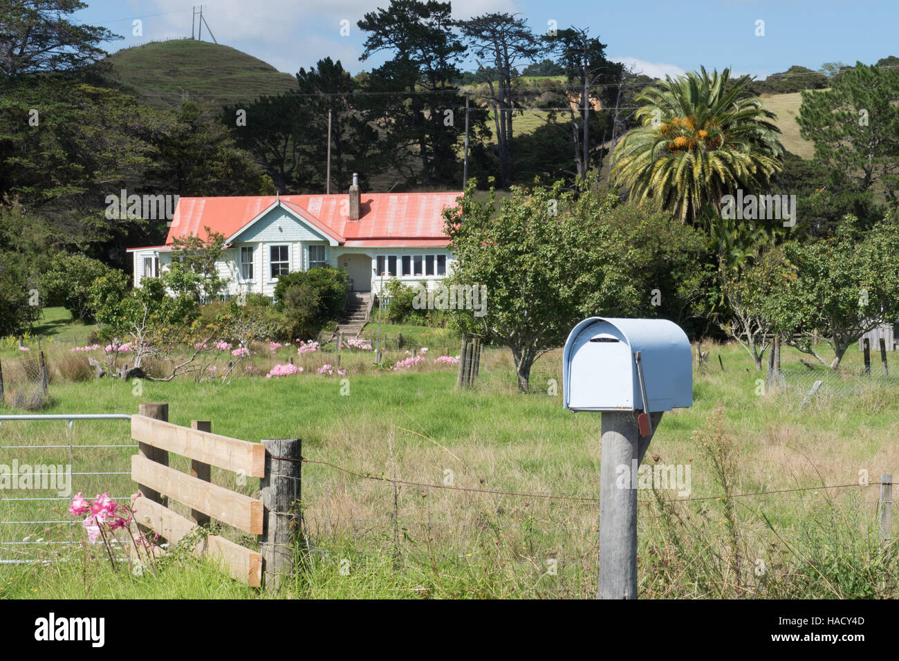 Tin roofed homestead, Coromandel peninsula New Zealand North Island ...