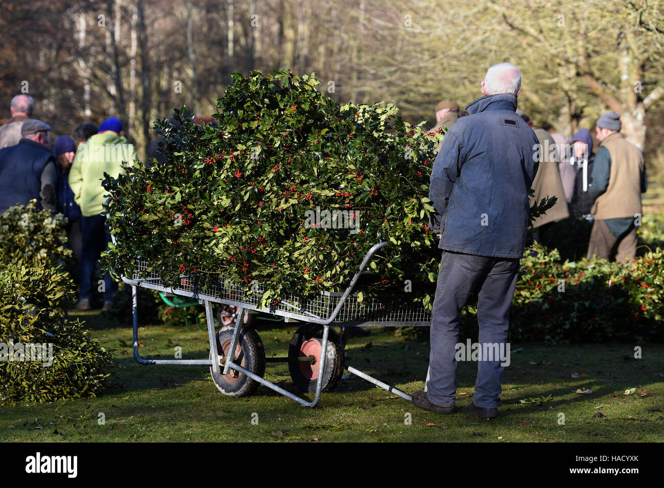A man pulls his purchase of holly on a trolley during the annual ...