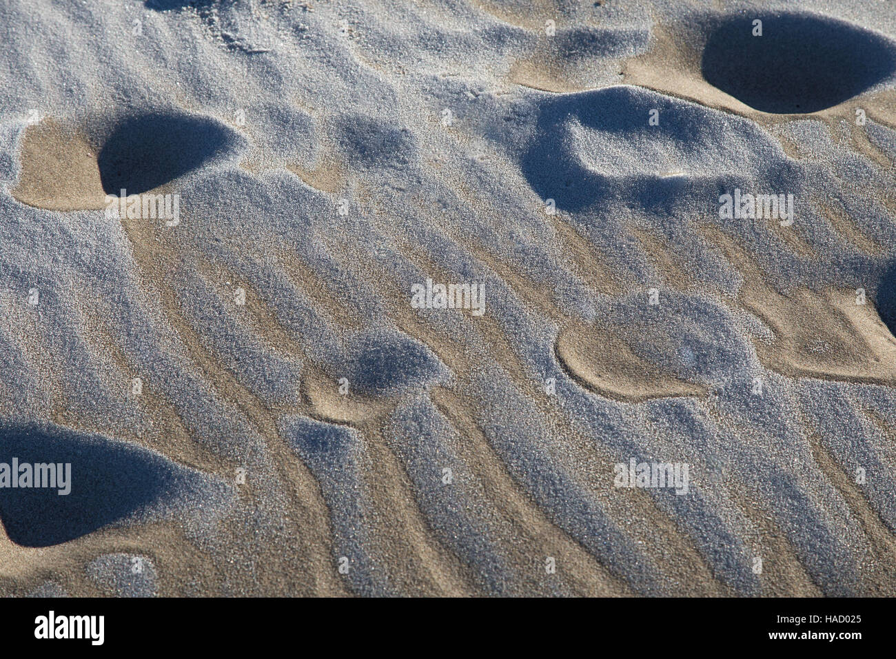 Frost y hi-res stock photography and images - Alamy