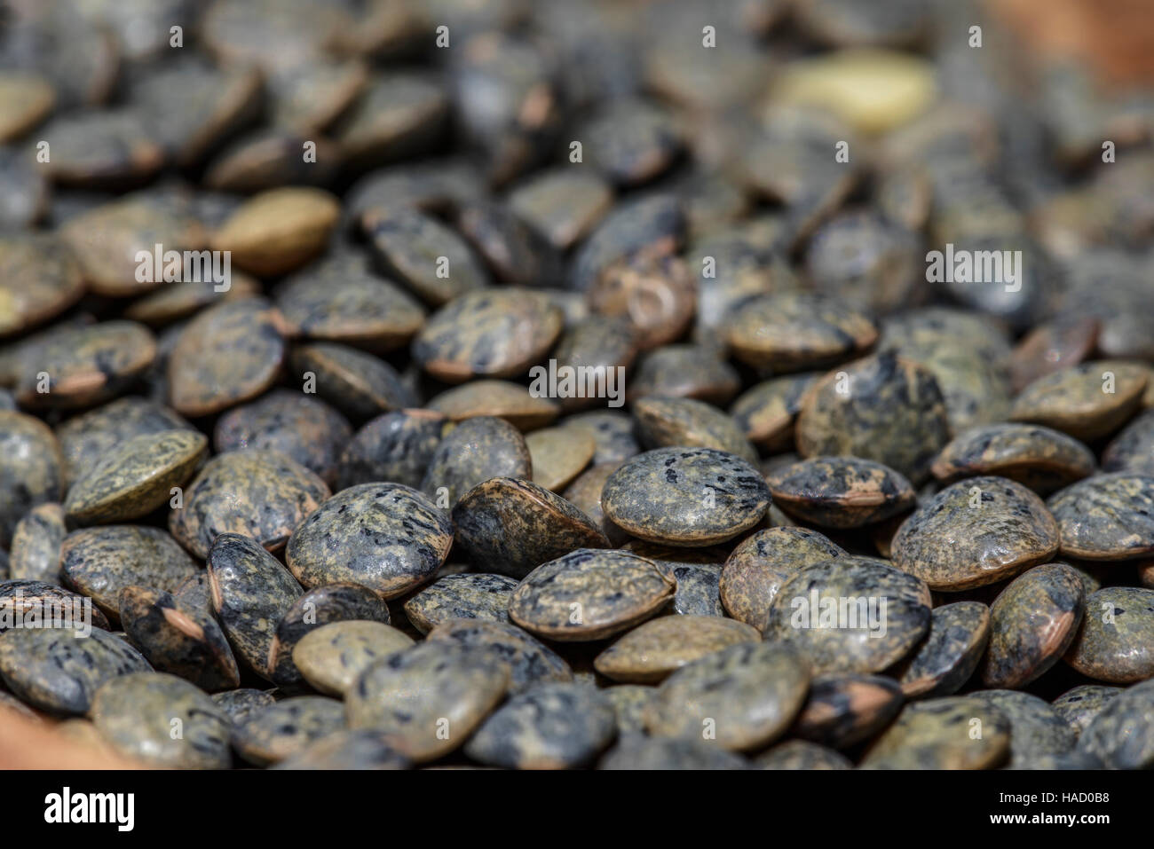 Lentilles Vertes High Resolution Stock Photography and Images - Alamy