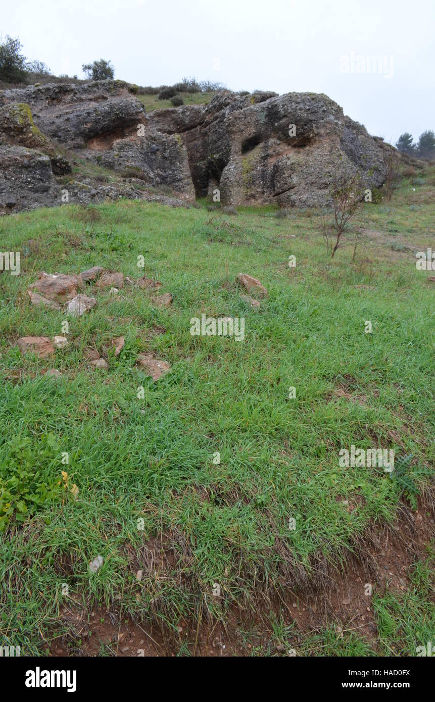Nature photography out in the open space Stock Photo - Alamy