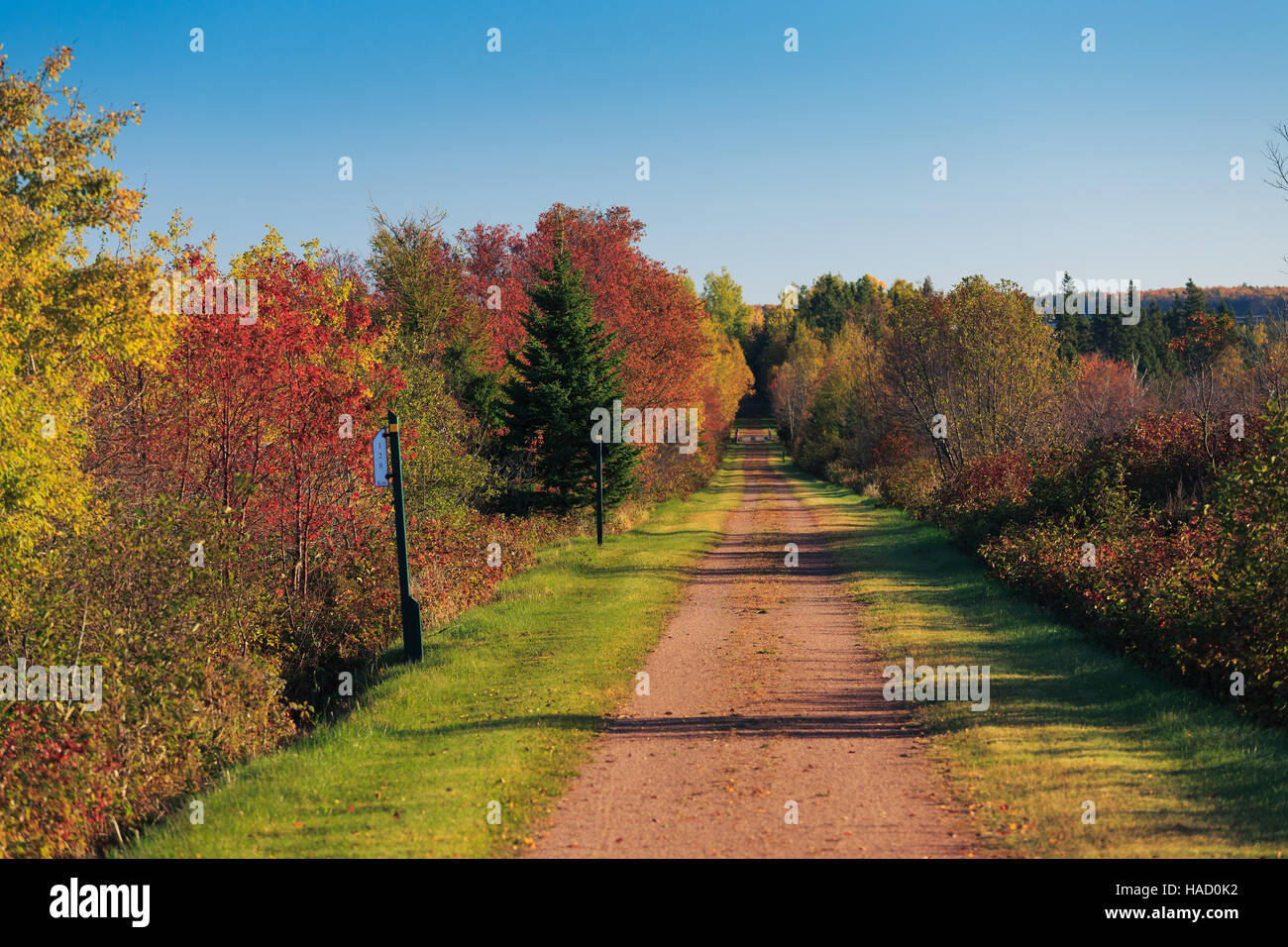 Fall foliage on the Confederation Trail Stock Photo - Alamy