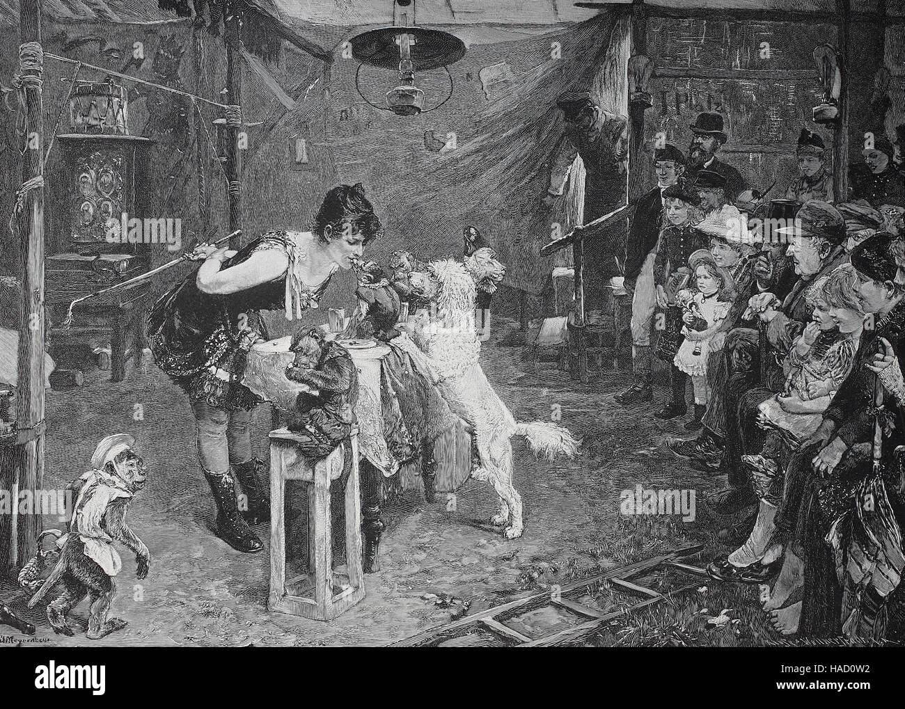 Circus animal hi-res stock photography and images - Alamy