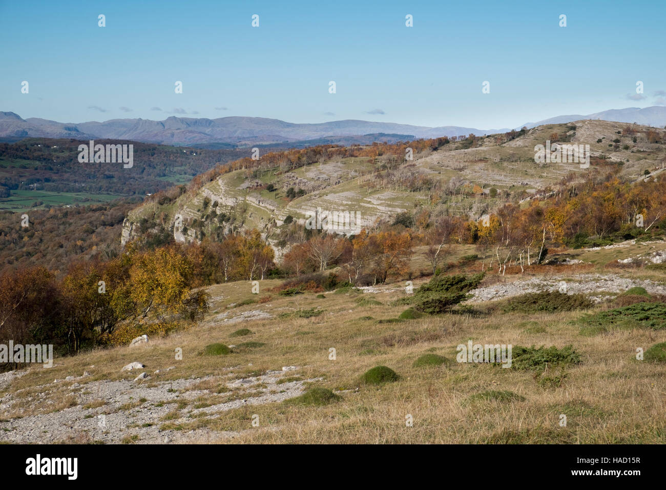 Whitbarrow limestone scar in the Lake District Stock Photo - Alamy