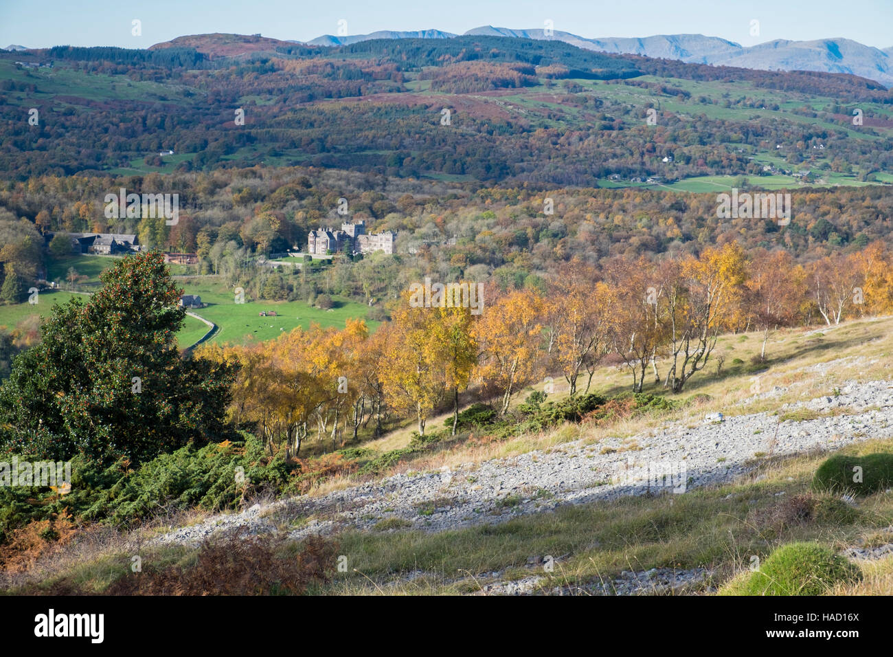 Witherslack school from Whitbarrow, Lake District Stock Photo - Alamy