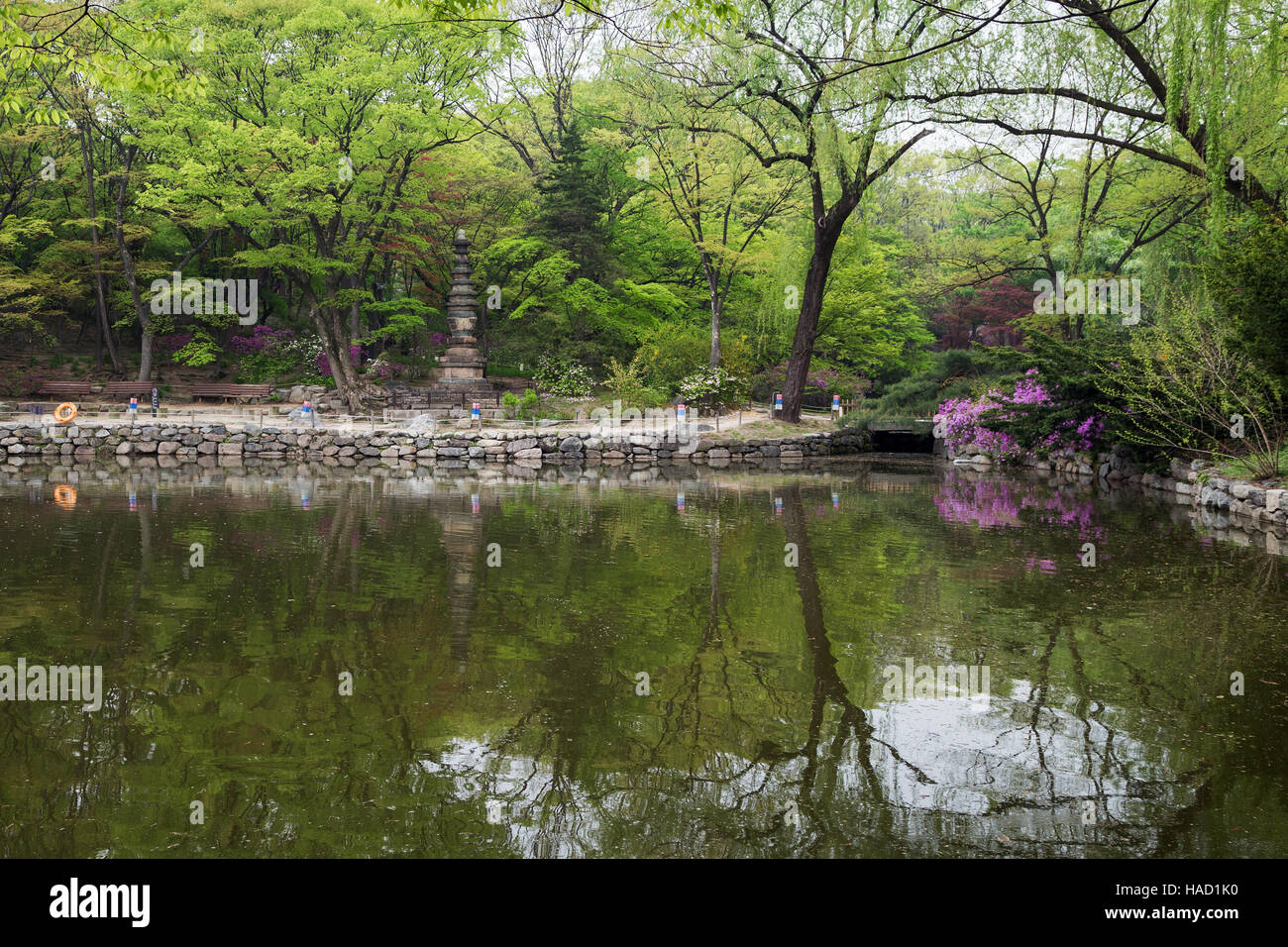 Trees Next To Pond High Resolution Stock Photography and Images - Alamy