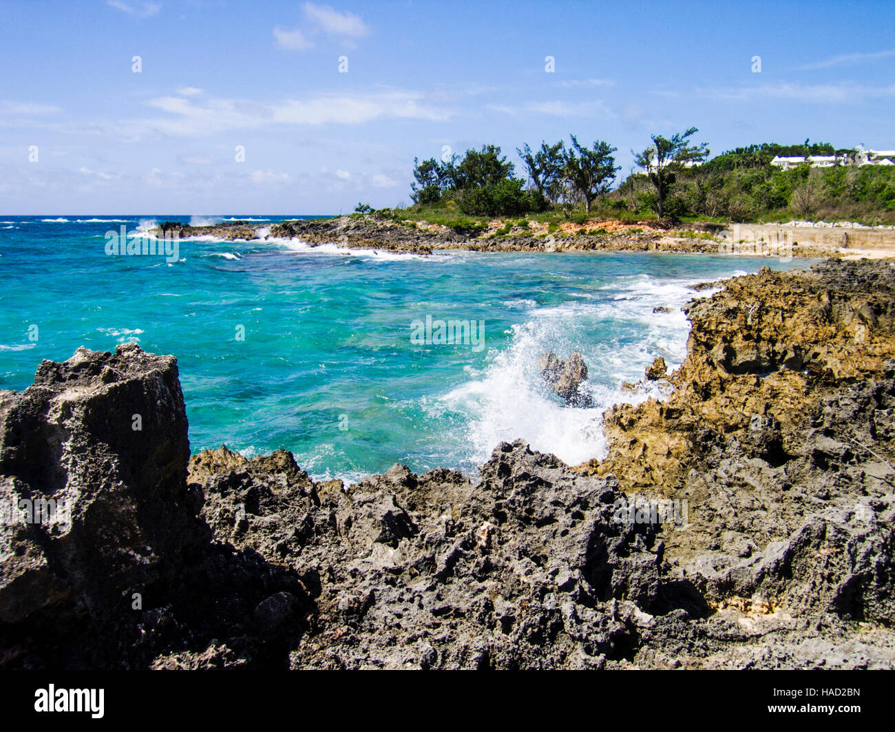 Beach and ocean, Bermuda Stock Photo - Alamy