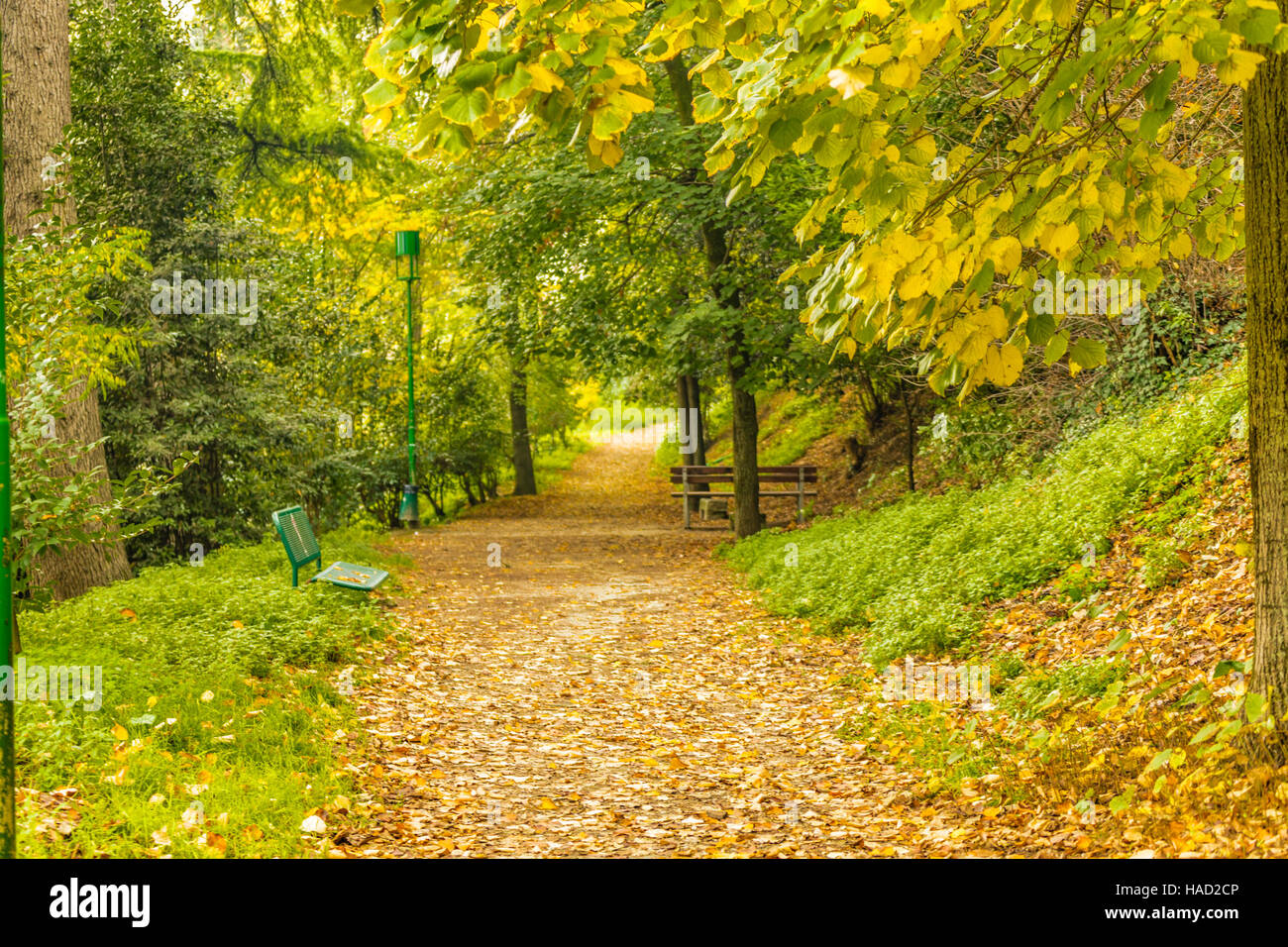 path in park in autumn Stock Photo - Alamy