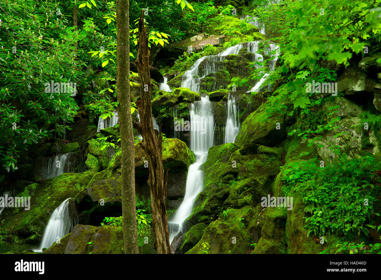 Waterfall along Lehigh Gorge Trail, Lehigh Gorge State Park ...