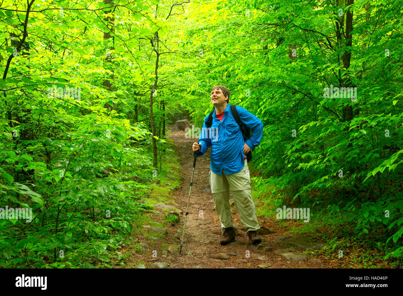 Hawk Falls Trail, Hickory Run State Park, Pennsylvania Stock Photo - Alamy