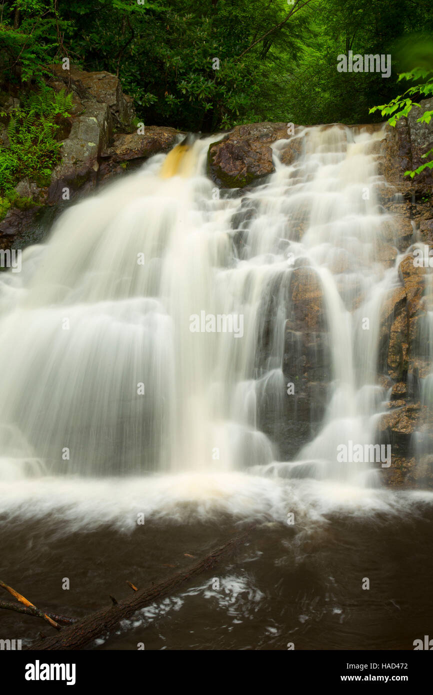 Hawk Falls along Hawk Falls Trail, Hickory Run State Park, Pennsylvania ...
