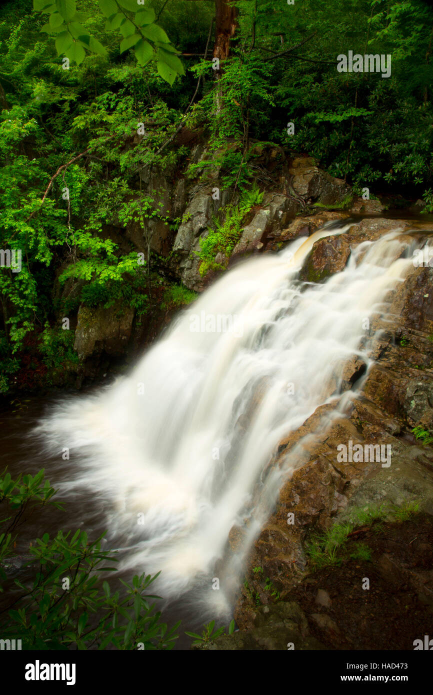 Hawk Falls along Hawk Falls Trail, Hickory Run State Park, Pennsylvania ...