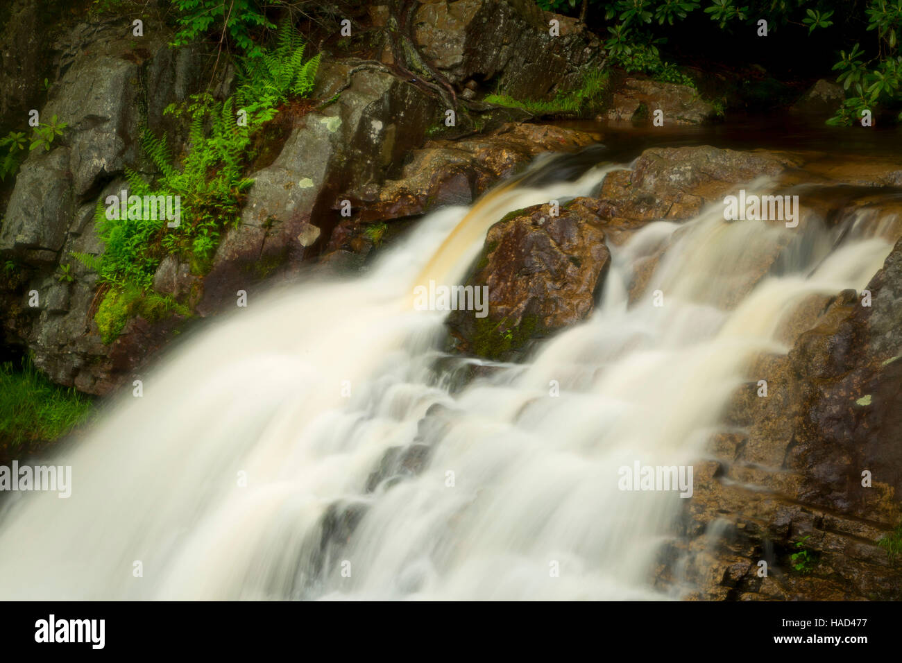 Hawk Falls along Hawk Falls Trail, Hickory Run State Park, Pennsylvania ...