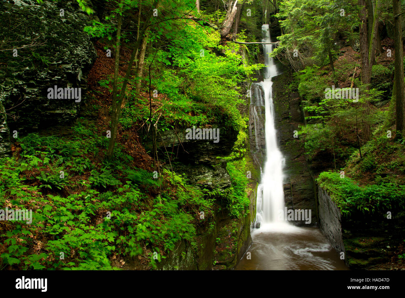 Dingmans falls poconos hi-res stock photography and images - Alamy