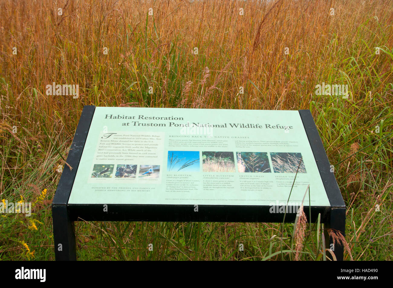 Interpretive board, Trustom Pond National Wildlife Refuge, Rhode Island ...