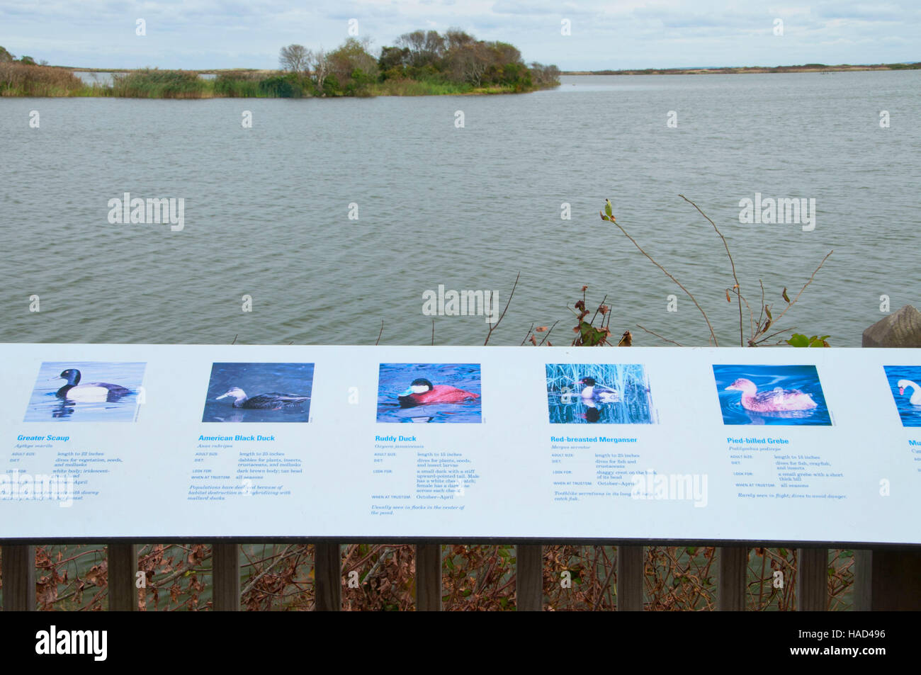 Observation platform on Otter Point, Trustom Pond National Wildlife ...