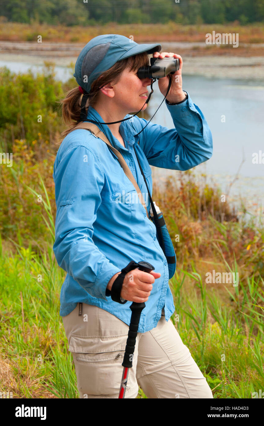 Birding at Great Swamp, Great Swamp Management Area, Rhode Island Stock ...