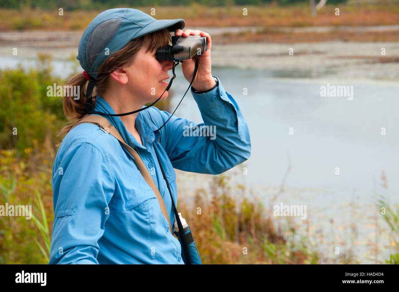 Birding at Great Swamp, Great Swamp Management Area, Rhode Island Stock ...