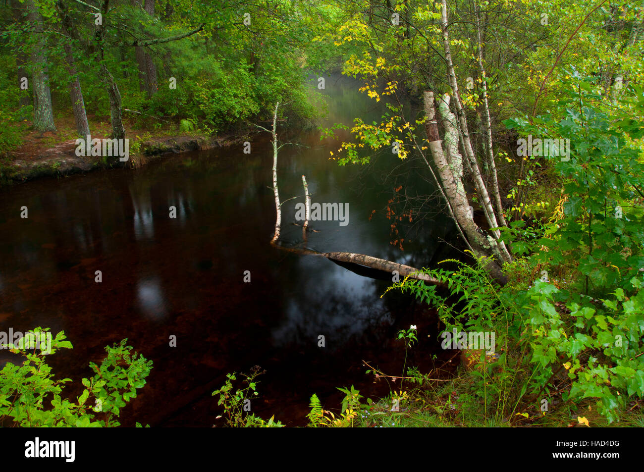 Wood River, Arcadia Management Area, Rhode Island Stock Photo - Alamy