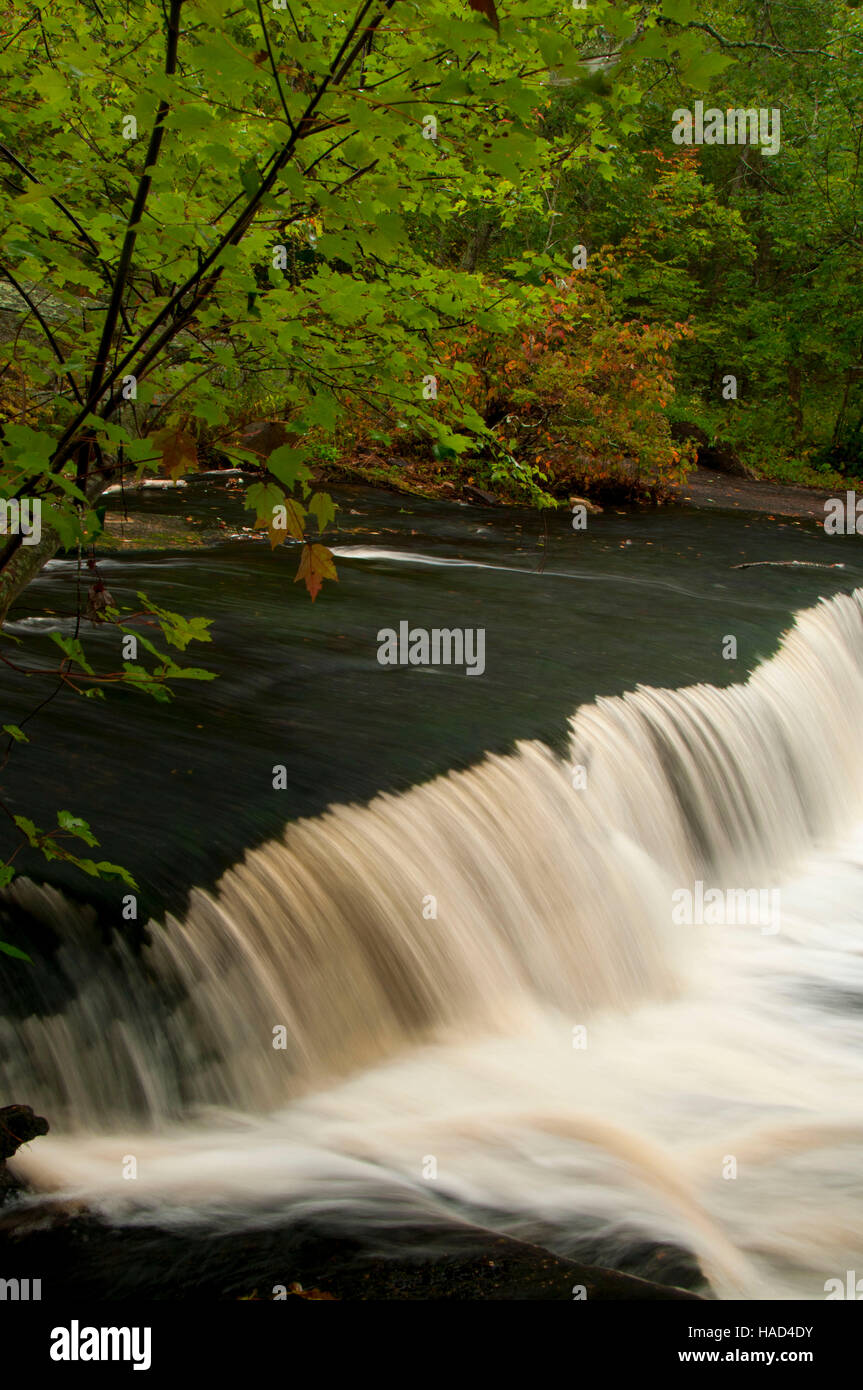 Arcadia Management Area High Resolution Stock Photography and Images ...