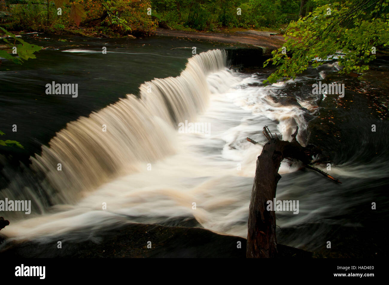 Arcadia Management Area High Resolution Stock Photography and Images ...