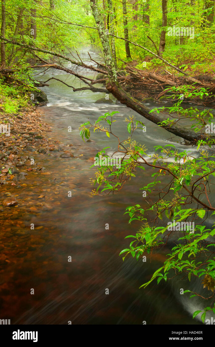 Stepstone falls hi-res stock photography and images - Alamy