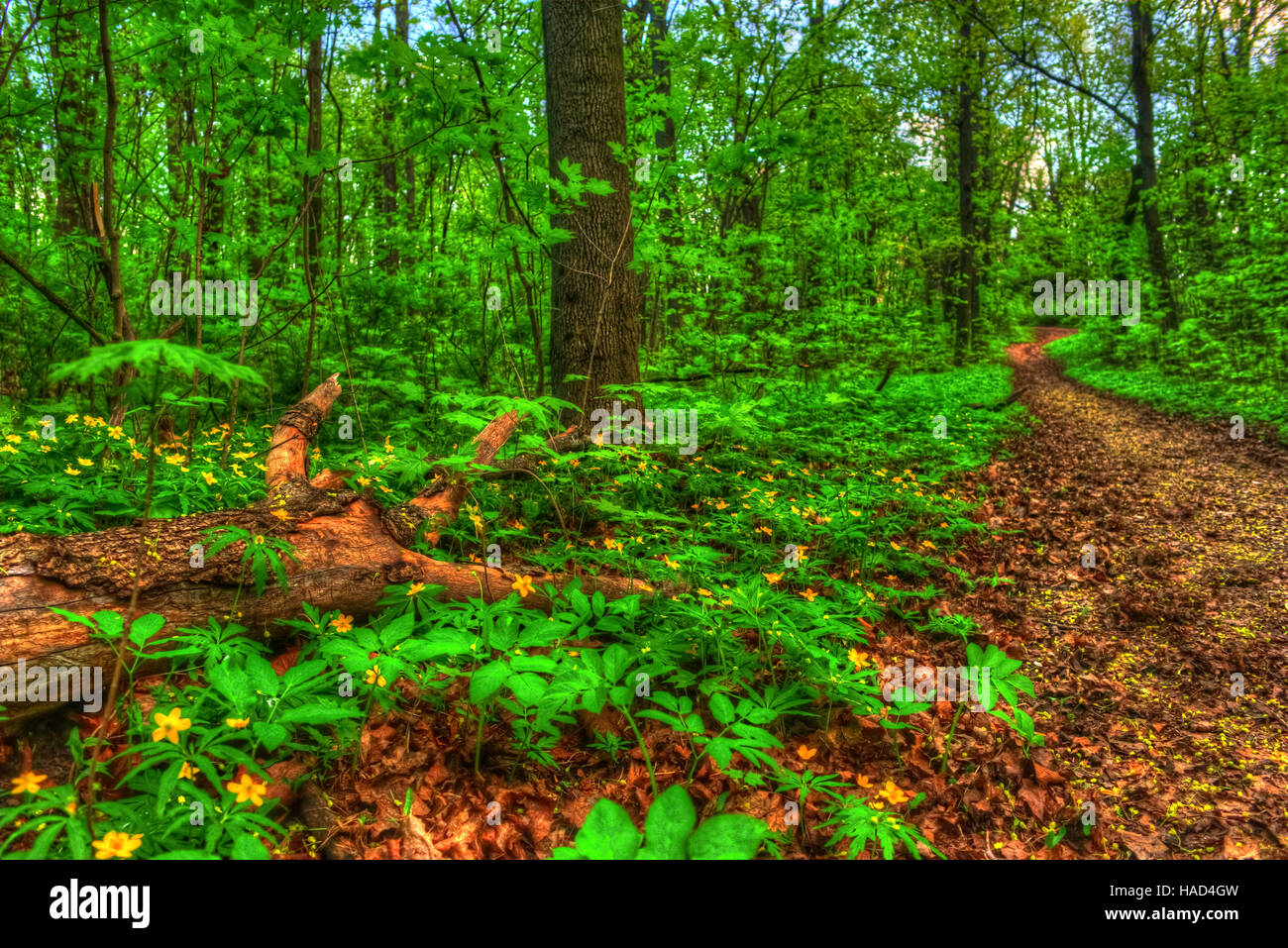 Autumn Landscape. Park in Autumn Stock Photo - Alamy