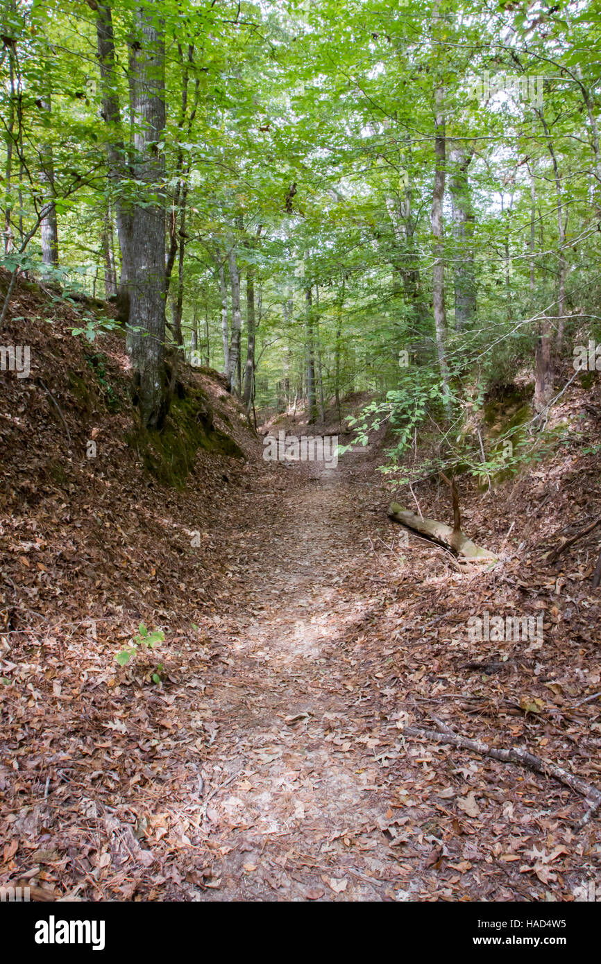 Sunken footpath on Old Trace path along Natchez Trace Parkway in rural ...