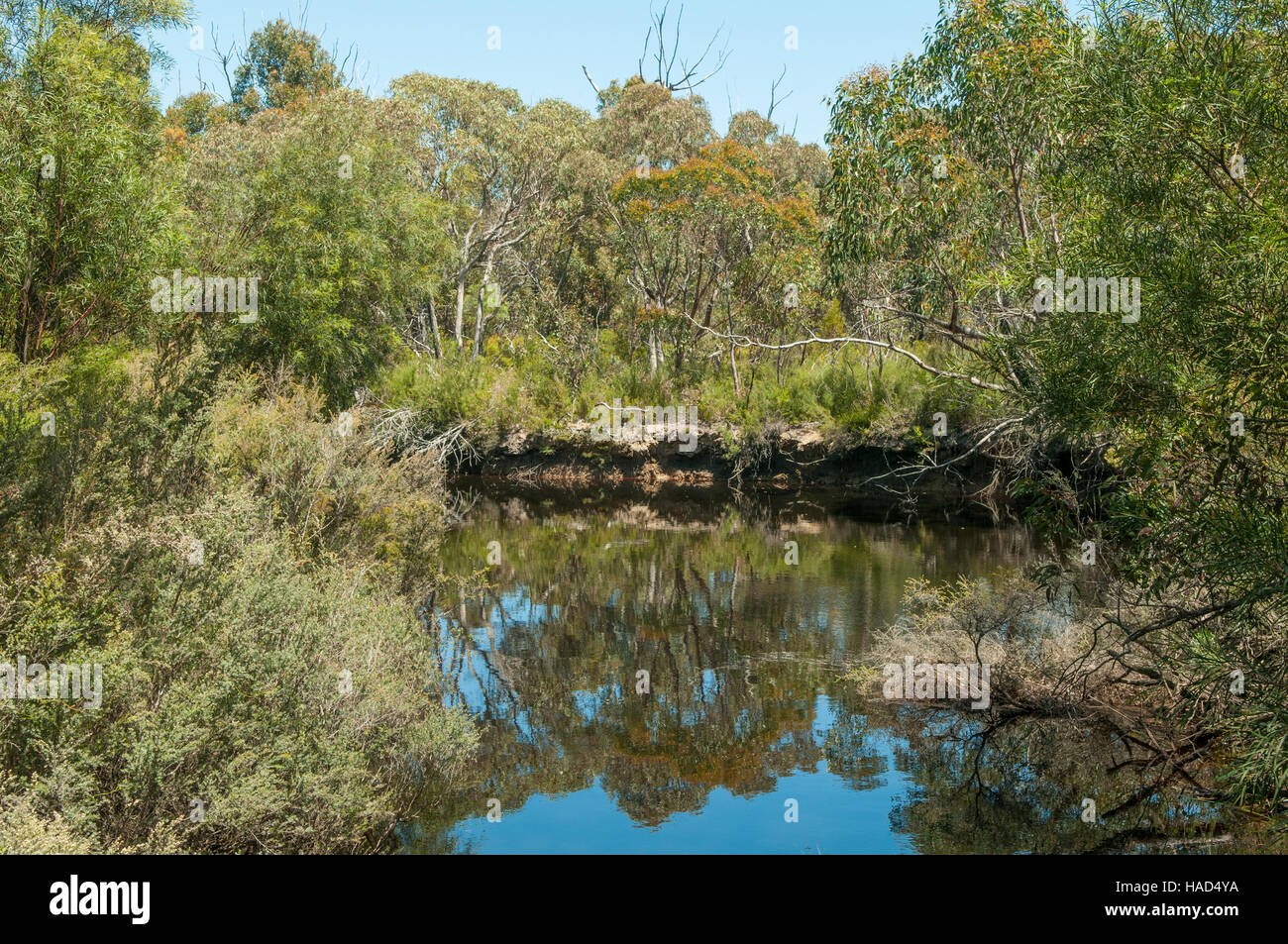 Platypus Waterholes, Flinders Chase NP, Kangaroo Island, South ...