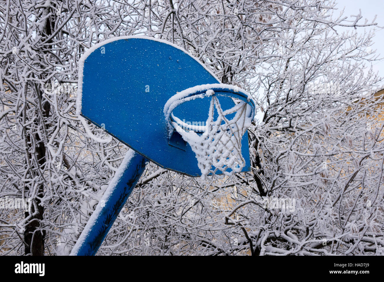 Snow covered basketball hoop Stock Photo - Alamy