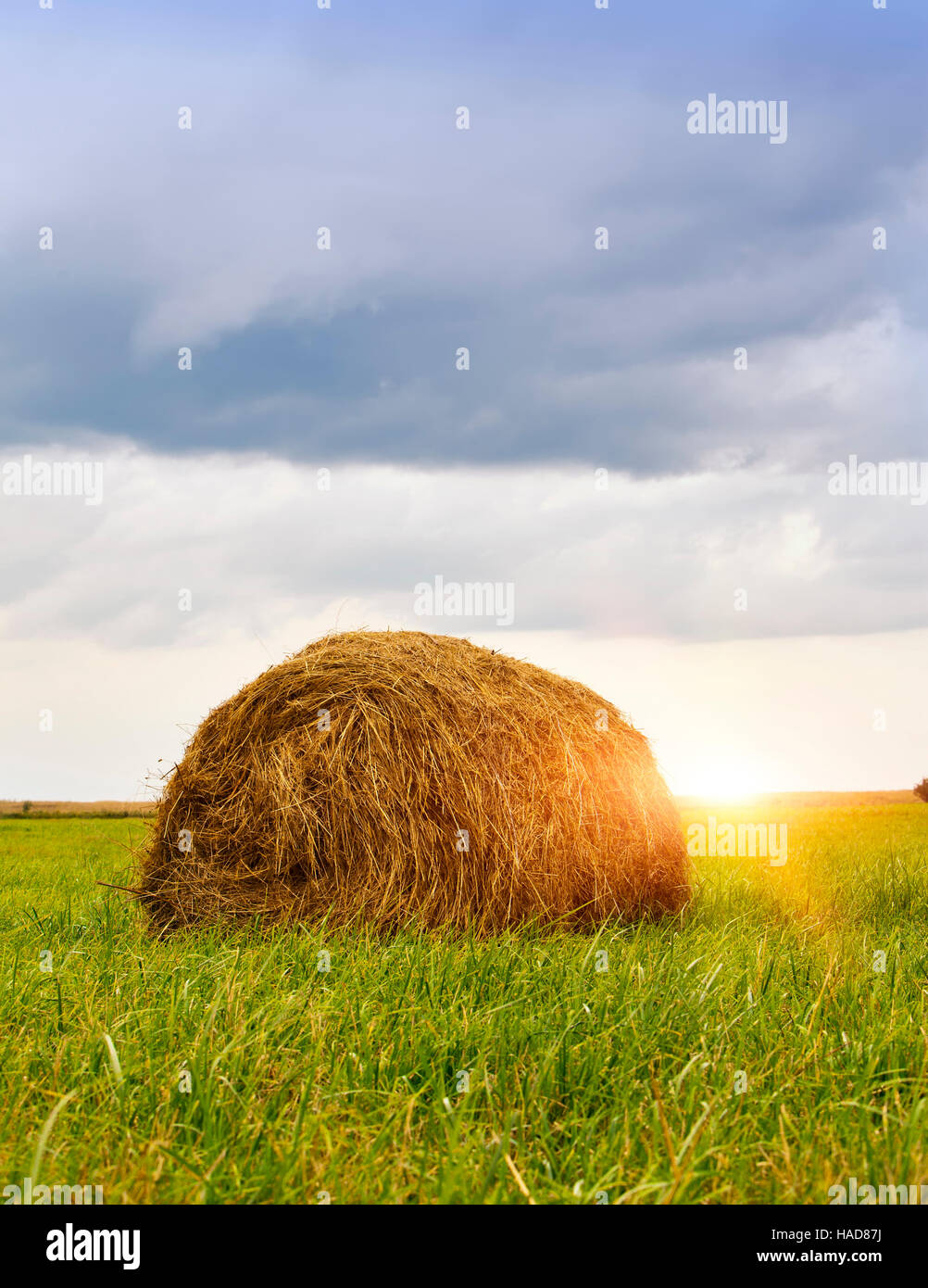 Corn Stacks Stock Photos & Corn Stacks Stock Images - Alamy
