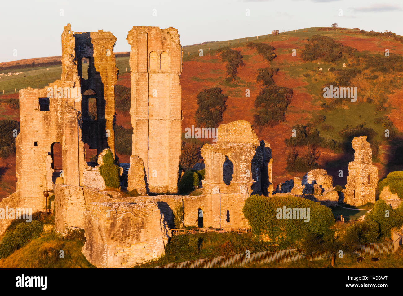 England, Dorset, Corfe Castle Stock Photo - Alamy