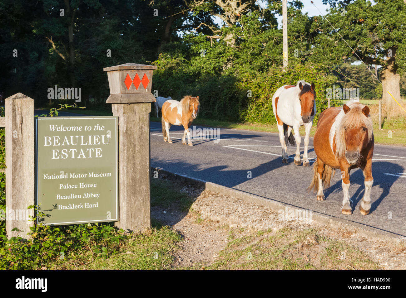 Beaulieu Estate Stock Photos & Beaulieu Estate Stock Images - Alamy