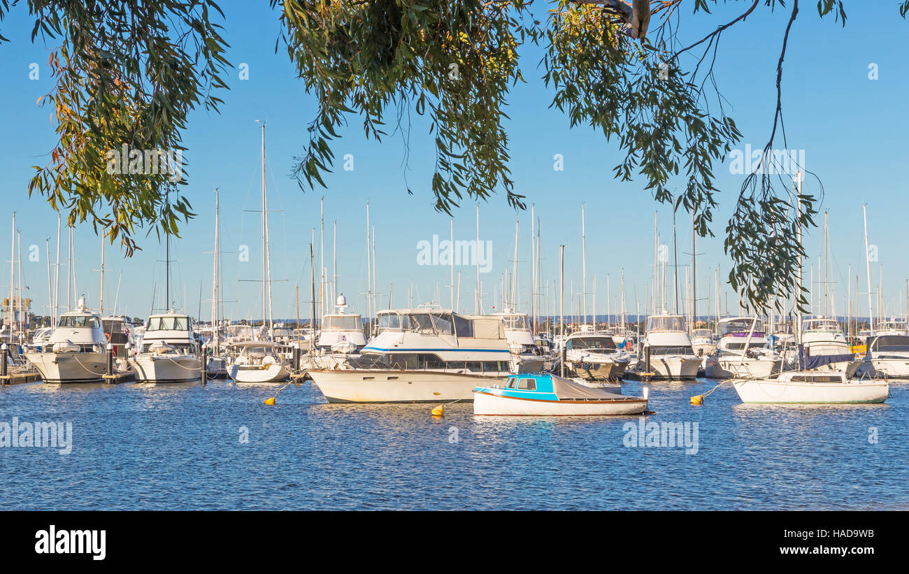 Boats lined up at their moorings in the Swan River in Perth, Western ...