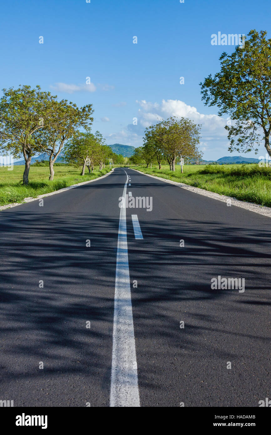 Straight asphalt road leading into the distance Stock Photo - Alamy