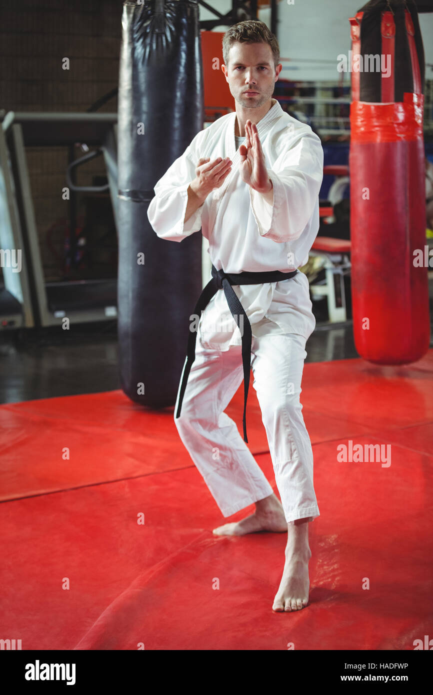 Karate player performing karate stance Stock Photo - Alamy