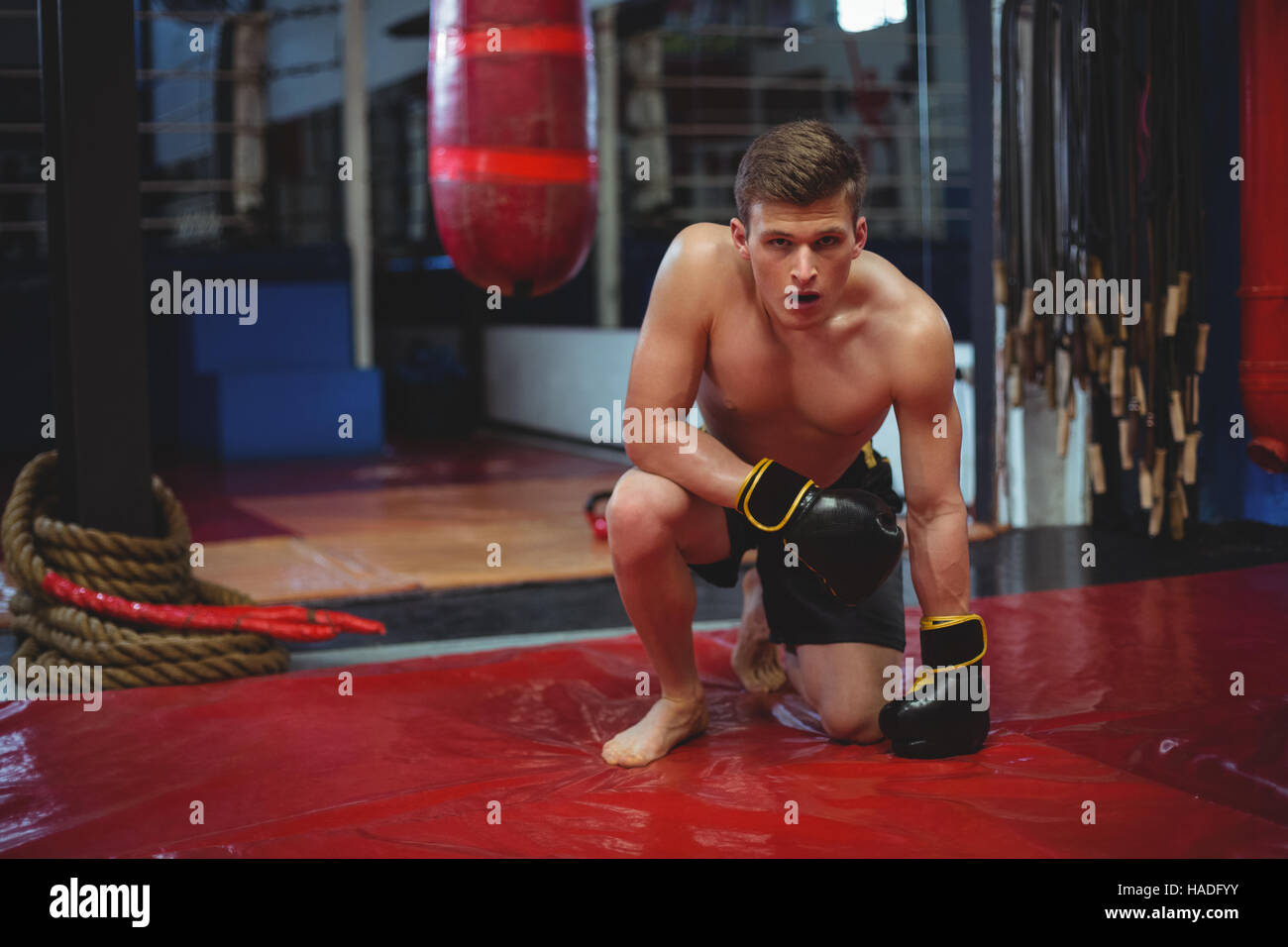 Boxer posing in fitness studio Stock Photo - Alamy