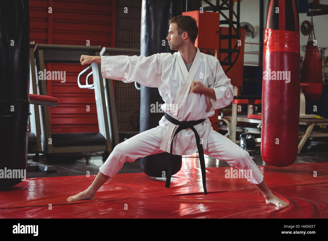 Karate player performing karate stance Stock Photo - Alamy