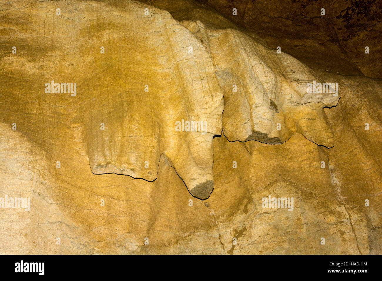 In the Oparara Basin on New Zealand's South Island water carved ...