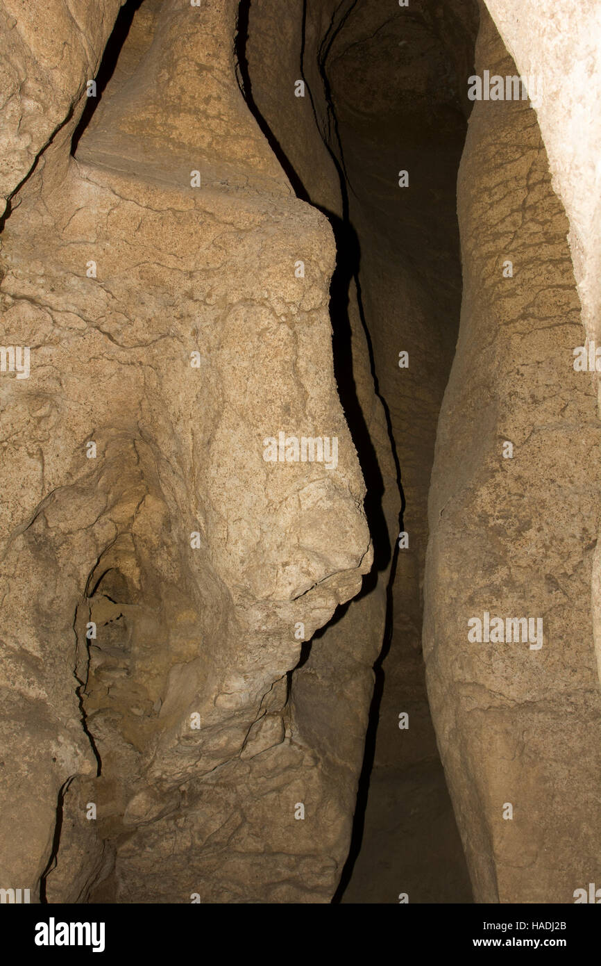 In the Oparara Basin on New Zealand's South Island water carved caves ...