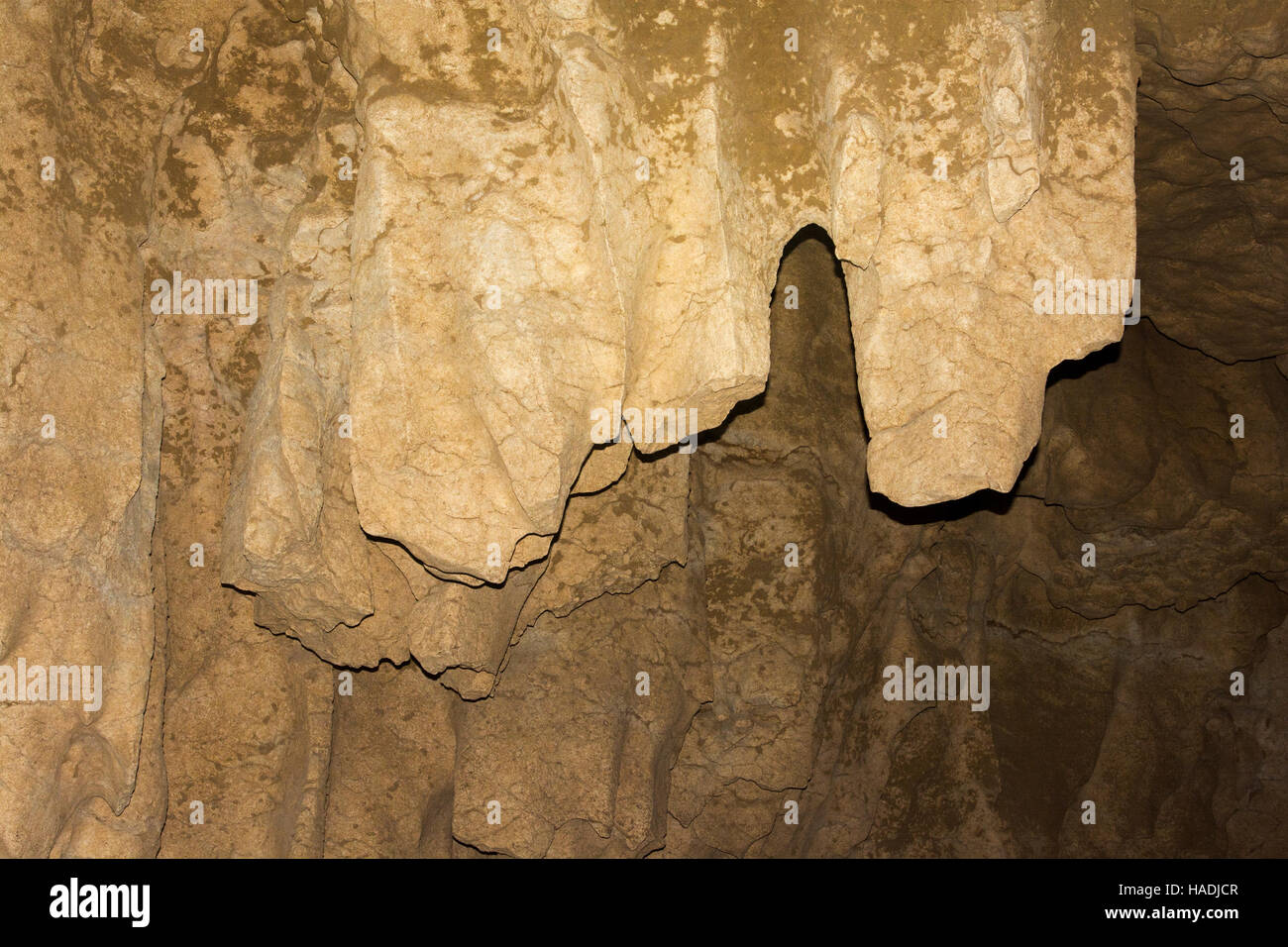 In the Oparara Basin on New Zealand's South Island water carved ...