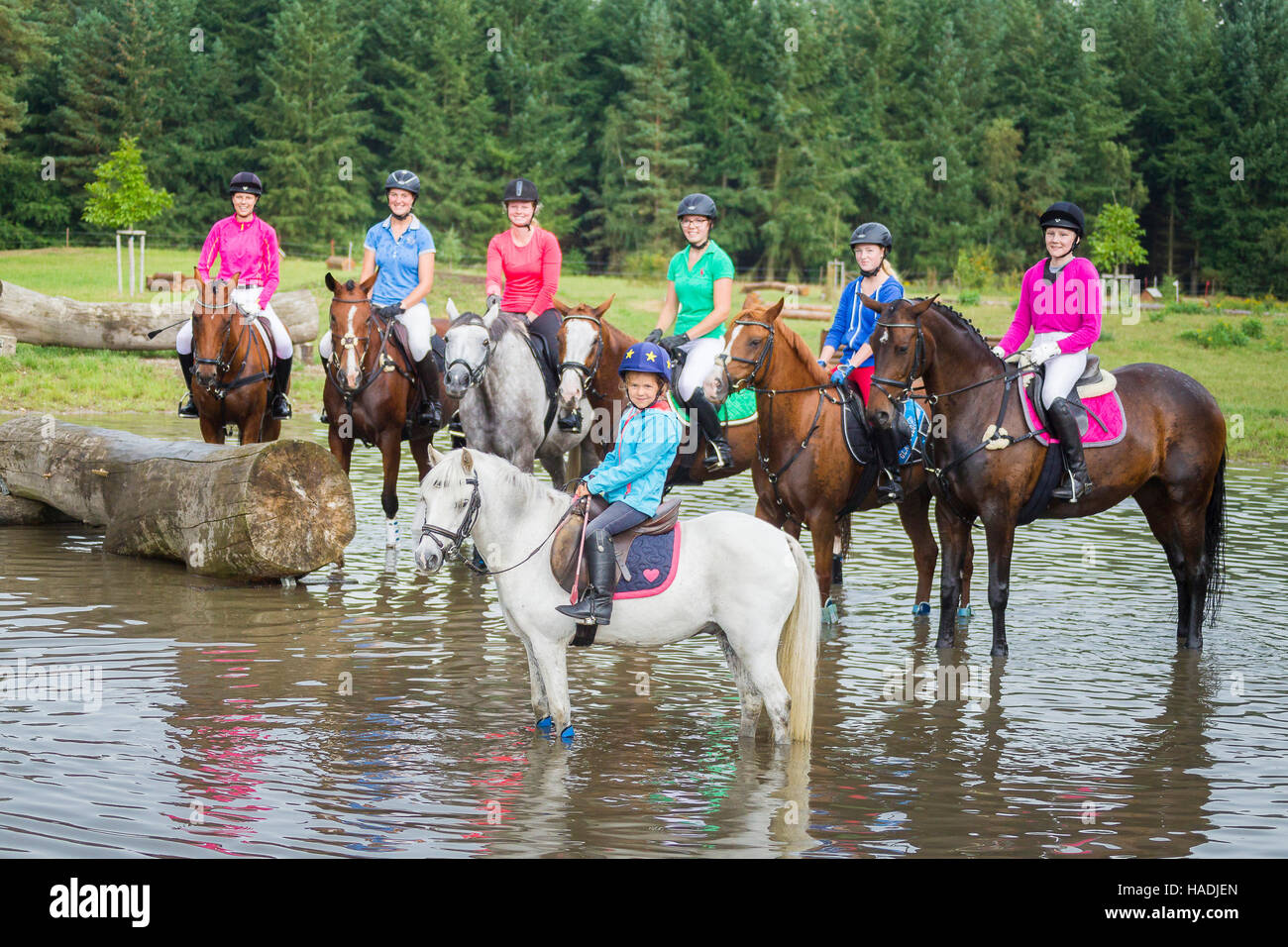 Welsh Pony and Warmblood. Group on a cross-country ride, standing in ...