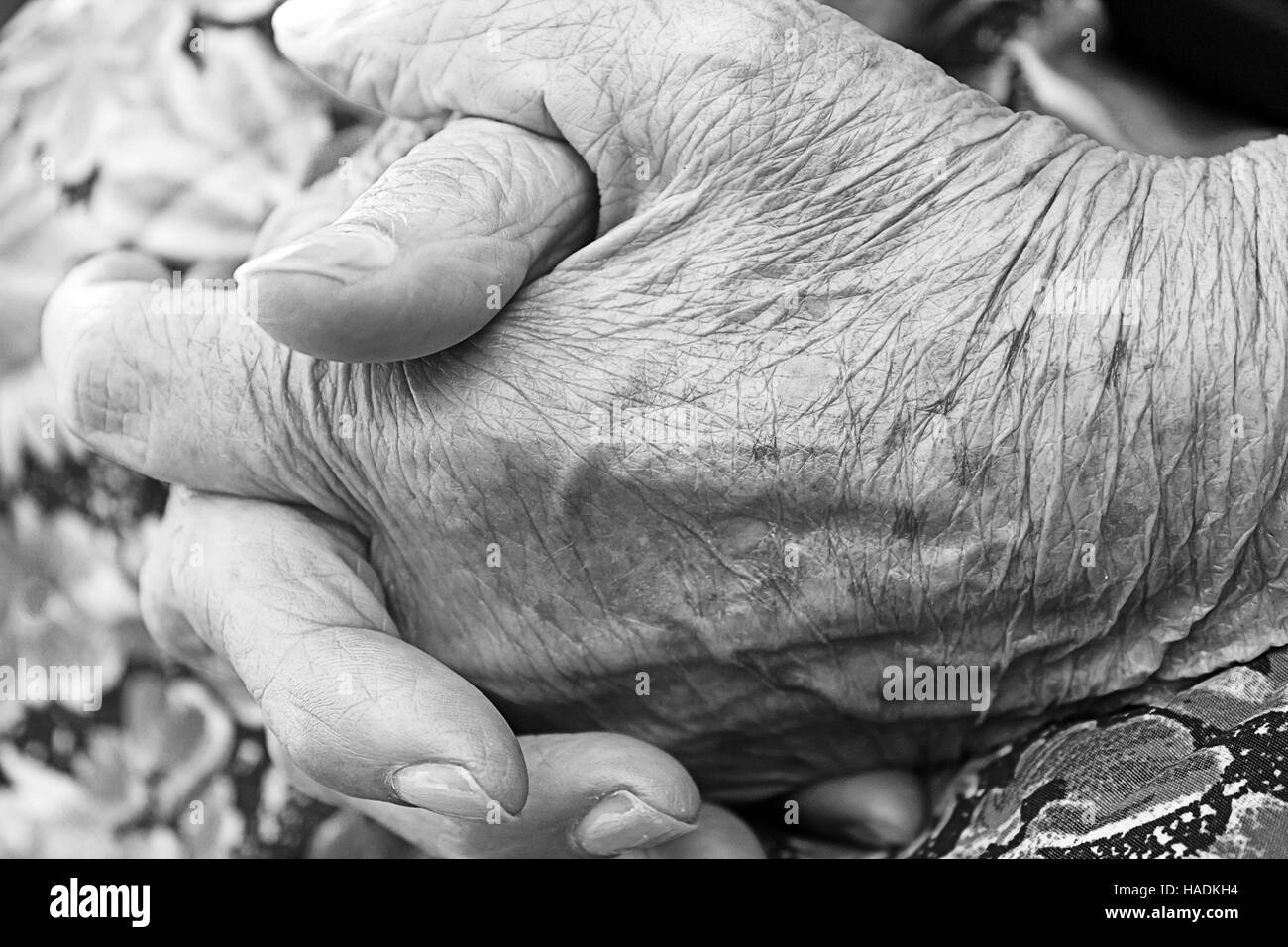 Old hands with wrinkles, aging and life Stock Photo - Alamy