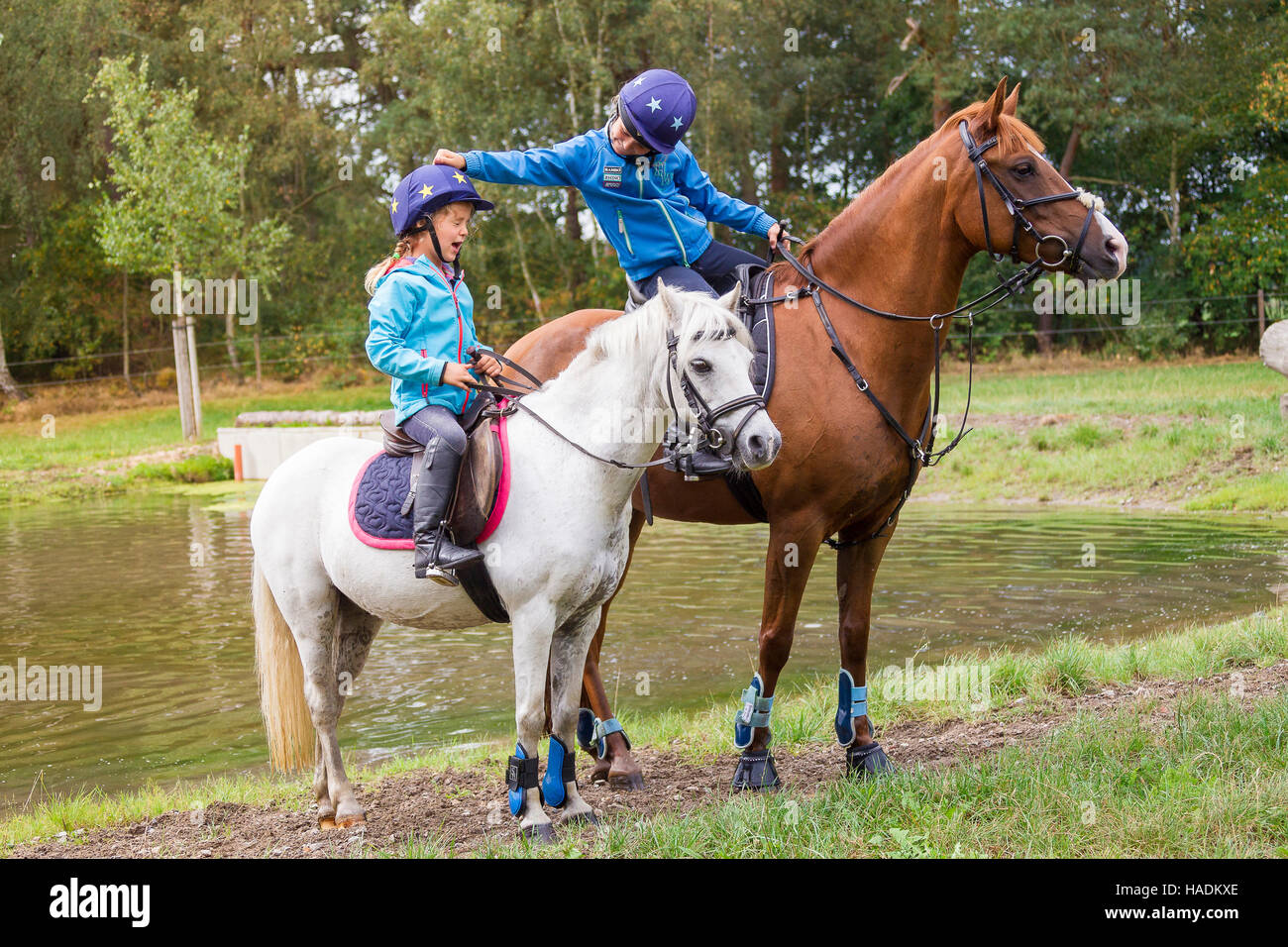 Welsh Mountain Pony and German Riding Pony. Two children on back of ...