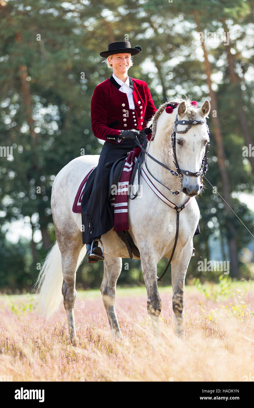 Pure Spanish Horse, Andalusian. Gerlinde Bartelheimer on gray gelding ...