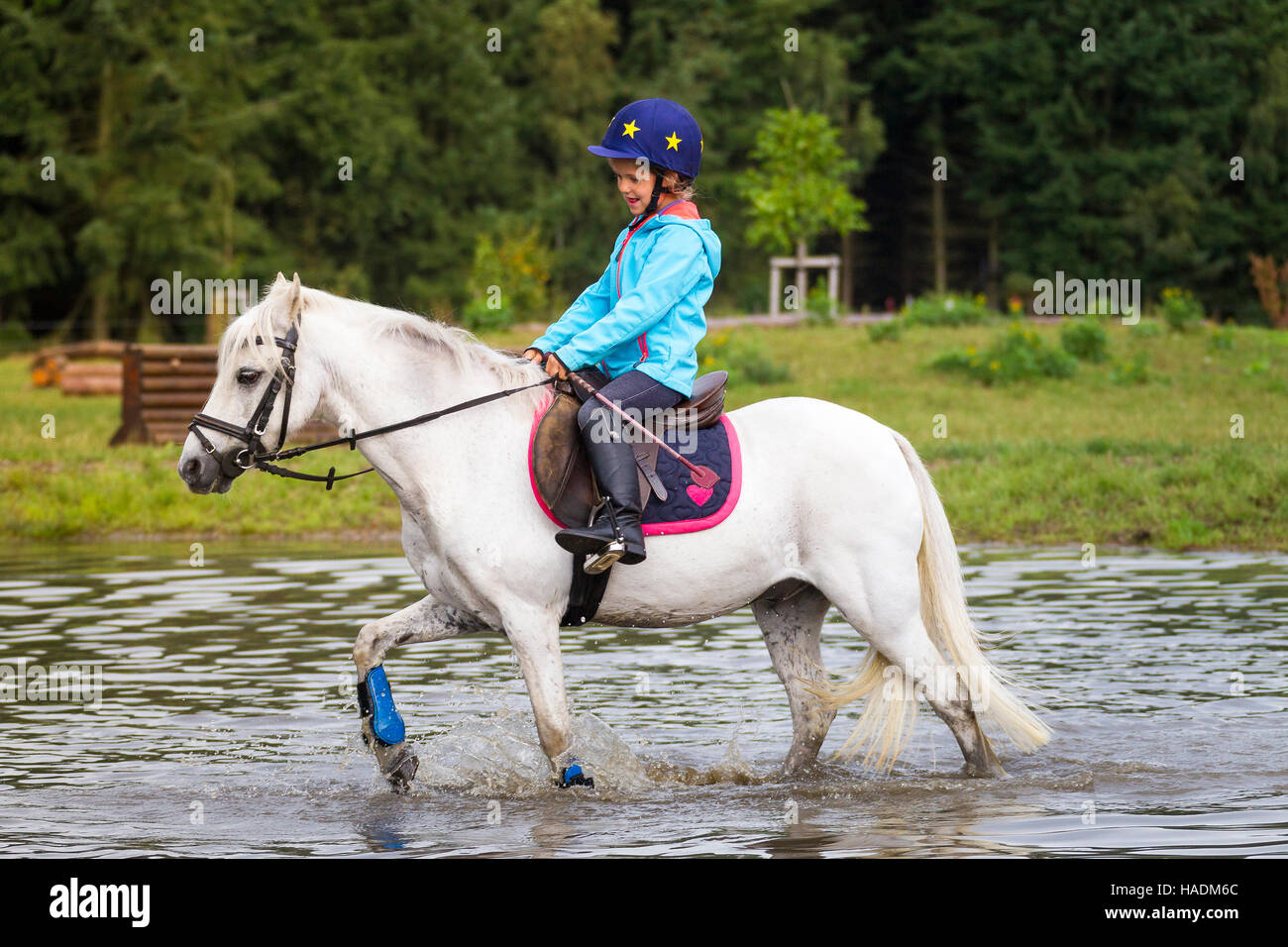 Welsh Mountain Pony, Section A. Girl on grey gelding walking through ...