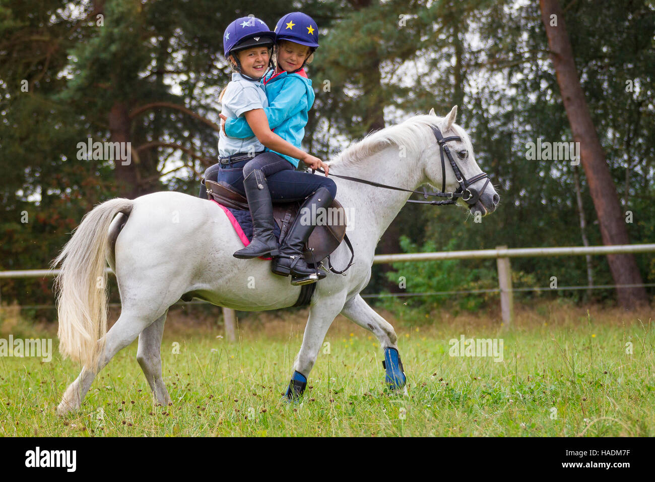 Welsh Mountain Pony, Section A. Two girls riding together on a grey ...