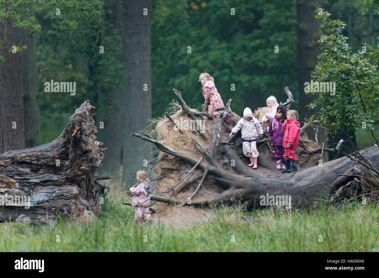 Kids playing on tree trunk. Jaegersborg, Danmark Stock Photo - Alamy