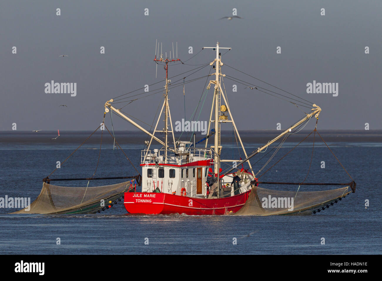 Shrimp trawler on the North Sea at the German coast. Schleswig-Holstein ...