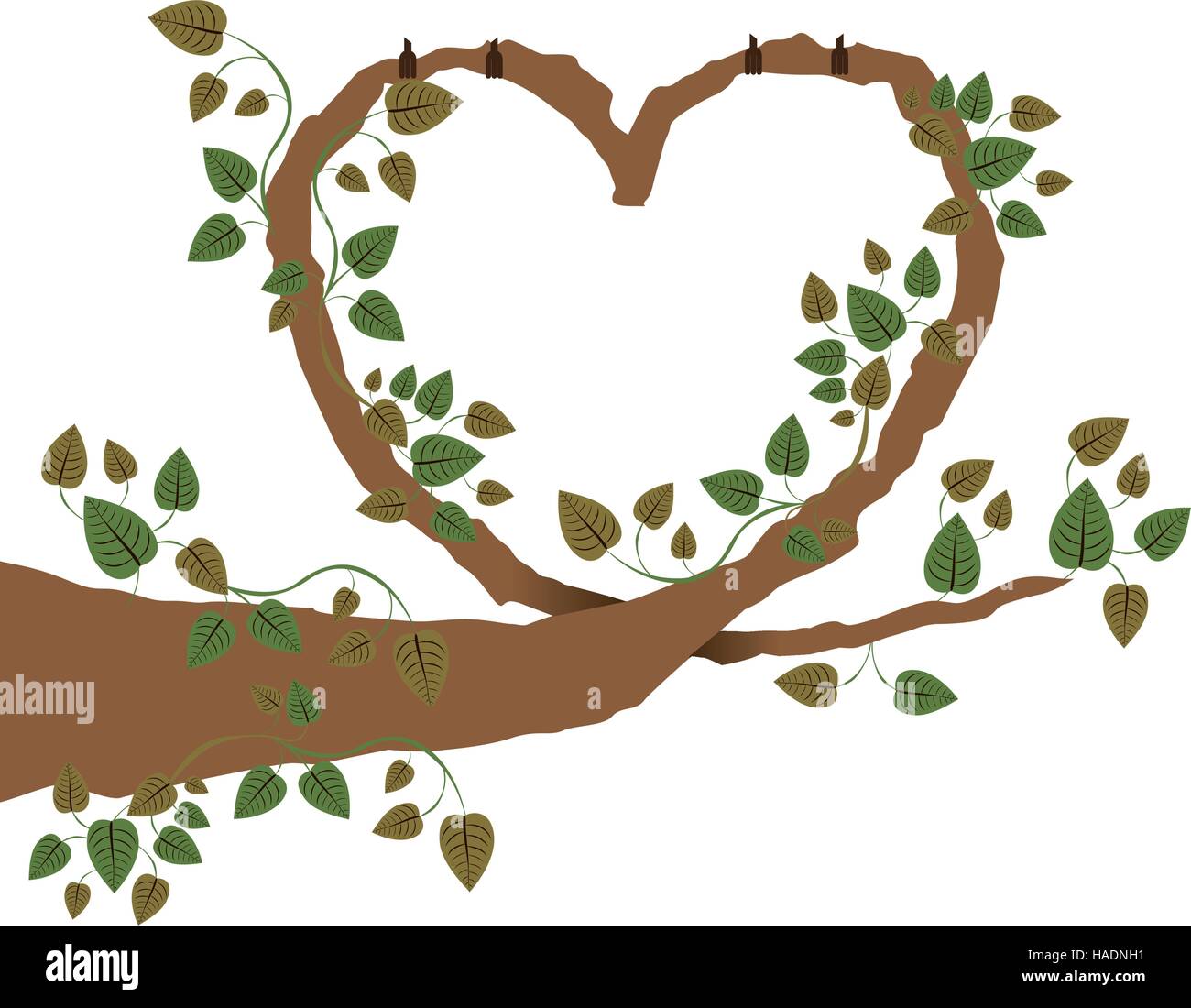 Heart shaped ivy leaf Cut Out Stock Images & Pictures - Alamy